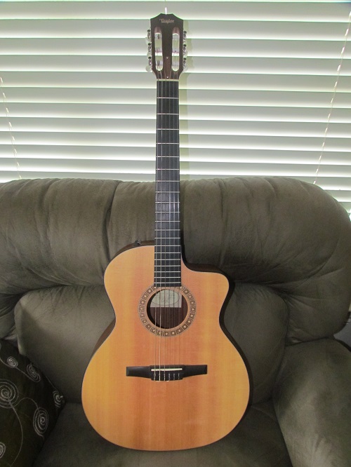 For Sale: Taylor NS24ce Grand Auditorium Classical Electric-Cutaway ...